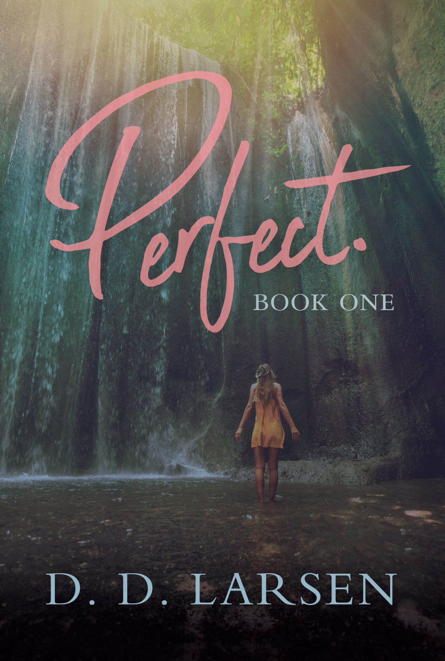 PERFECT. | IndieReader
