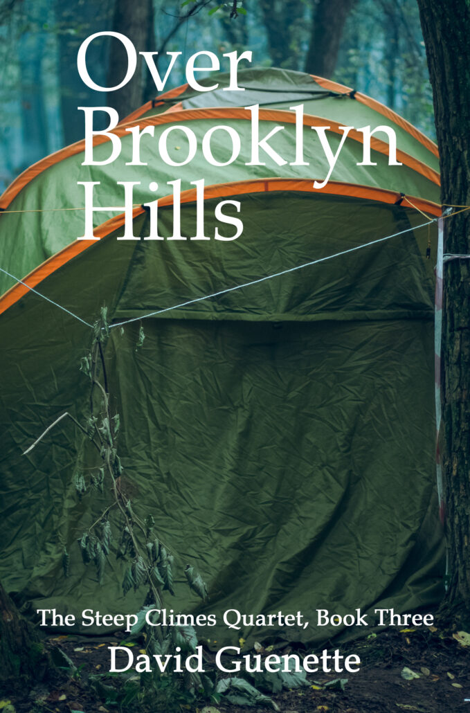 OVER BROOKLYN HILLS (The Steep Climes Quartet Book 3) | IndieReader